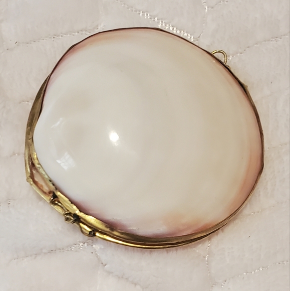 Accessories | Shell Coin Purse | Poshmark